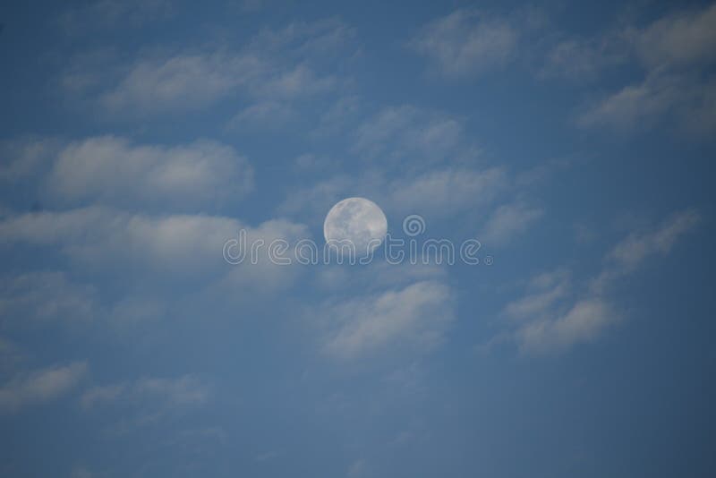 Mooooooon Stock Photos - Free & Royalty-Free Stock Photos from Dreamstime