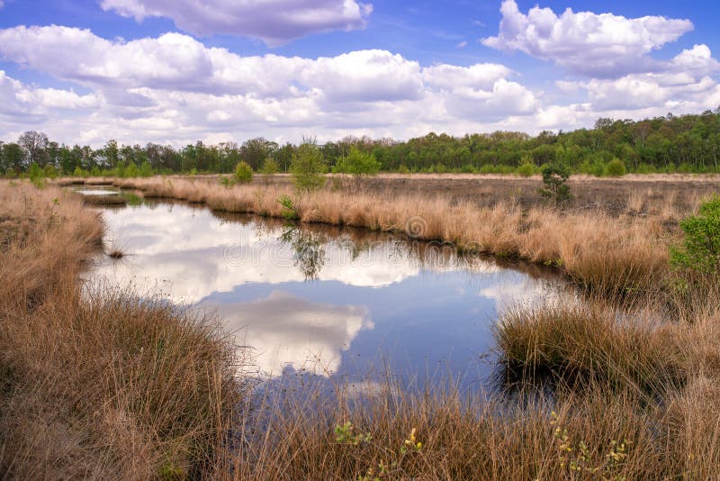 Moor landscape stock photo. Image of moors, national - 71195408