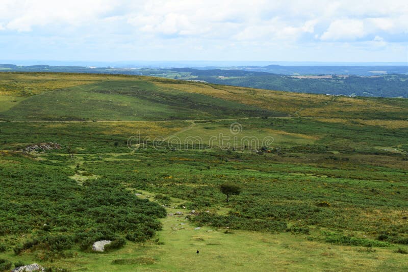 Moor landscape stock photo. Image of devonshire, green - 58349188
