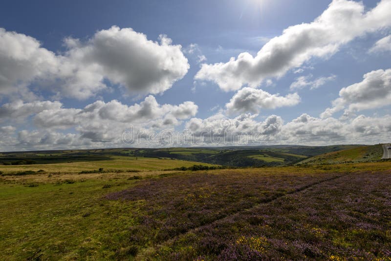 Moor landscape, Exmoor stock photo. Image of united, country - 46269522
