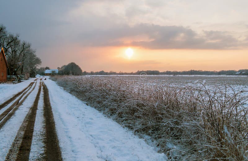 Moor in winter stock photo. Image of evening, moor, hedge - 41616840
