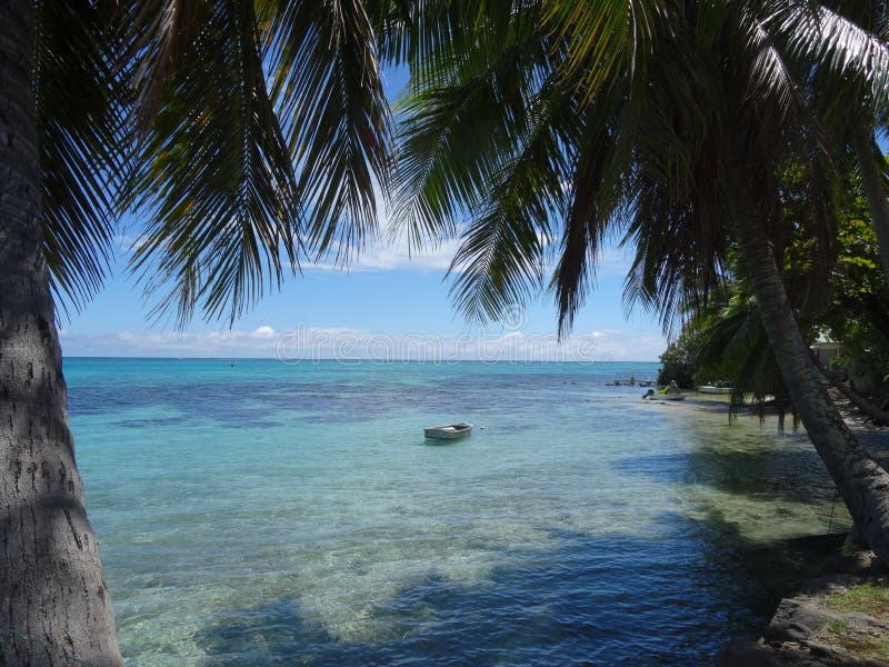 Moorea-Insel stockfoto. Bild von exotisch, lagune, boot - 96506840