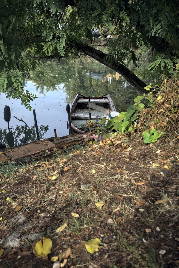 Moored Boat Under a Tree Arching on it Stock Photo - Image of green ...
