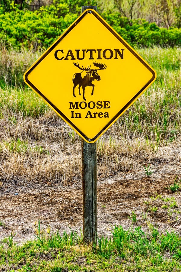 Moose in Area Sign stock photo. Image of area, yellow - 140852654