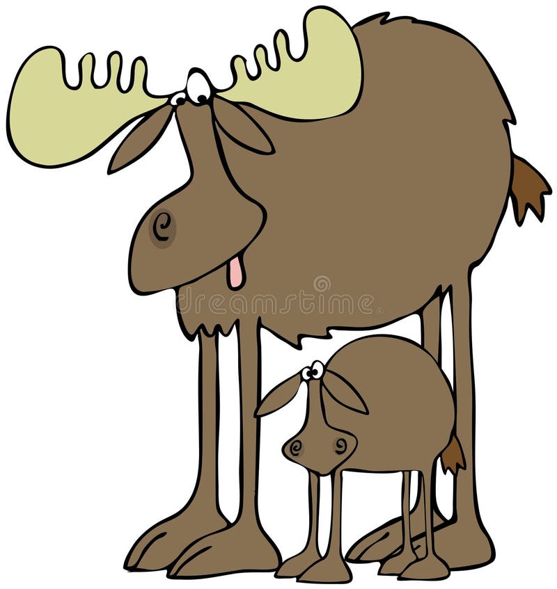 Moose and calf stock illustration. Illustration of antler - 36297418
