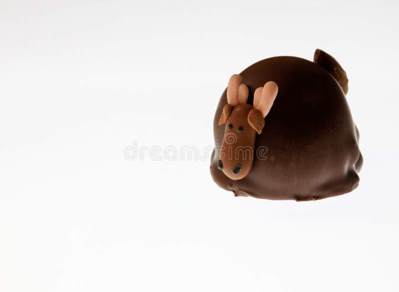 Moose candy stock image. Image of sweet, chocolate, truffle - 58920741