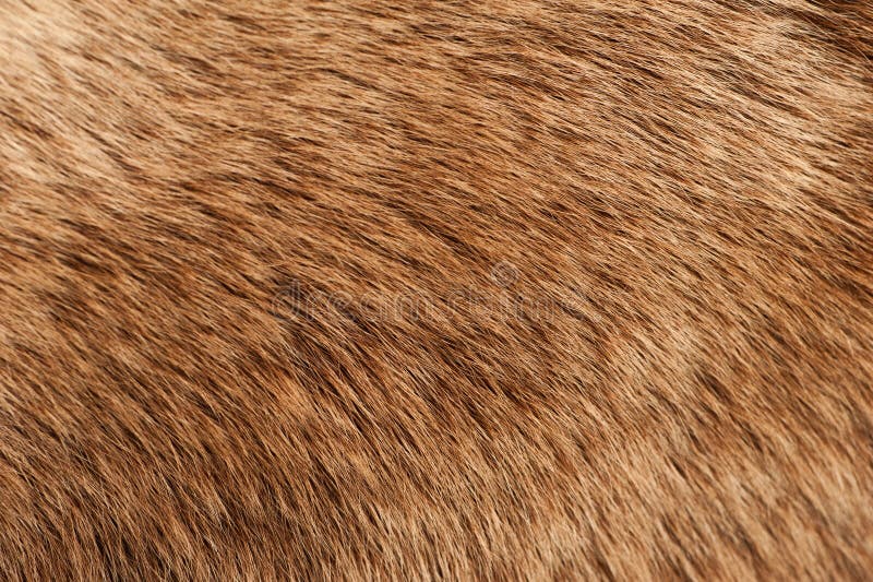 Moose Coat stock photo. Image of material, backdrop, pattern - 27002456