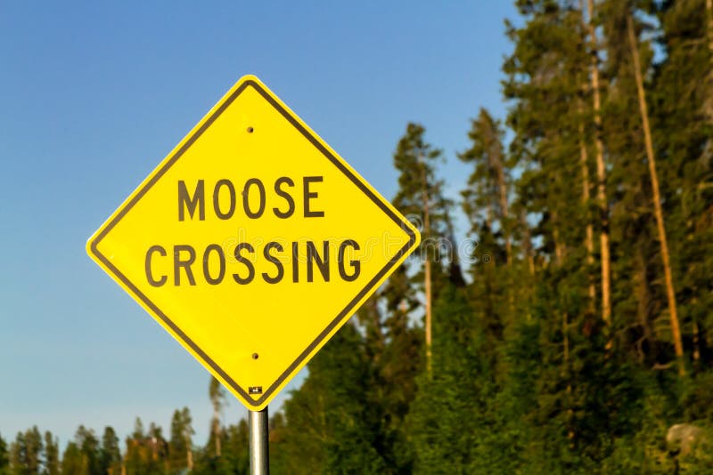 Brake for Moose road sign editorial image. Image of moose - 36318110