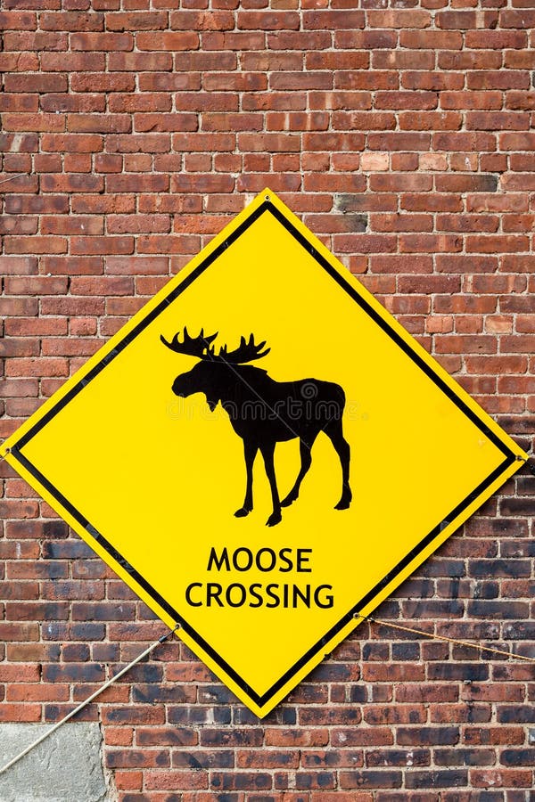 Moose Crossing Sign stock photo. Image of signage, wild - 32690376