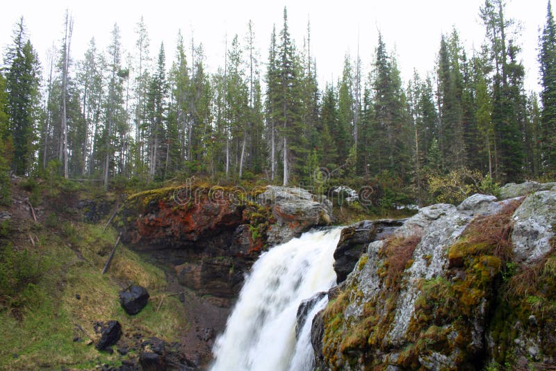 Moose Falls Yellowstone National Park Stock Image - Image of canyon ...