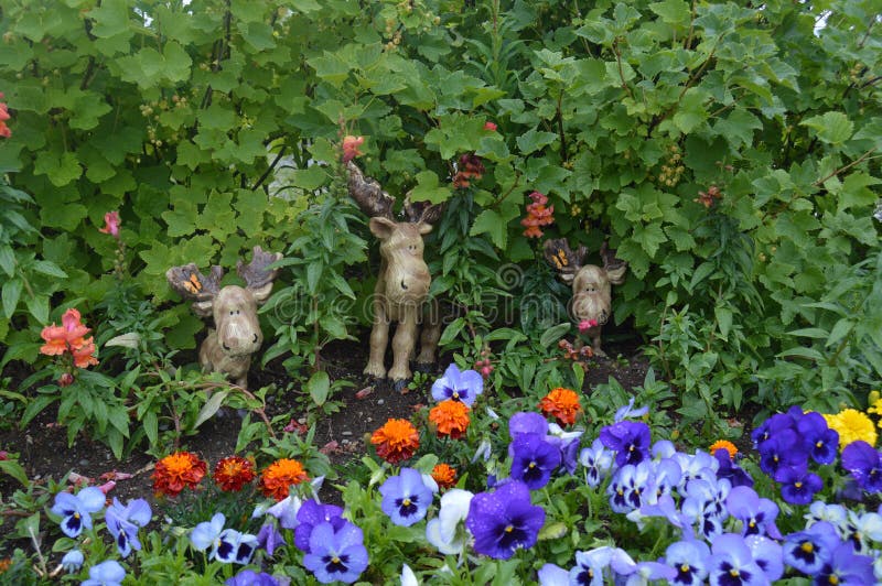 Moose and Flowers stock image. Image of arrangement, plants - 60640807