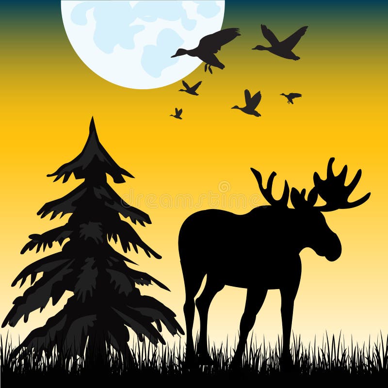 Moose on glade stock illustration. Illustration of mammal - 55055155