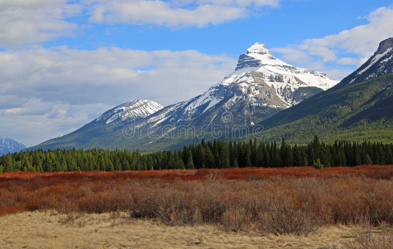 Moose Meadow and Pilot Mountain Stock Photo - Image of mountains ...