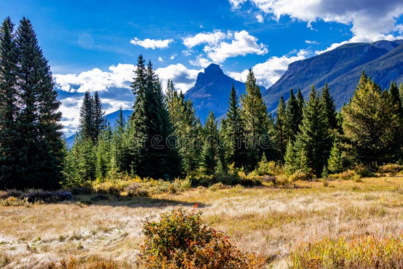 Moose Meadows Banff National Park Alberta Canada Stock Image - Image of ...