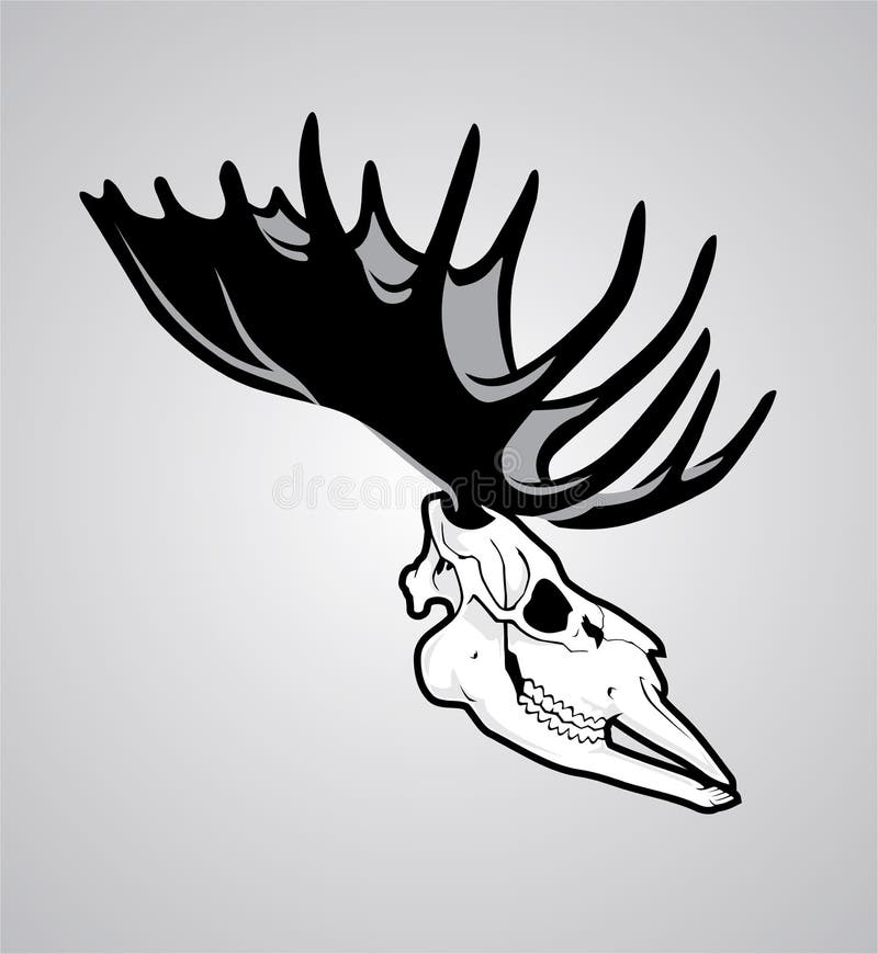 Moose Skull Side View Illustration Stock Vector - Illustration of head ...