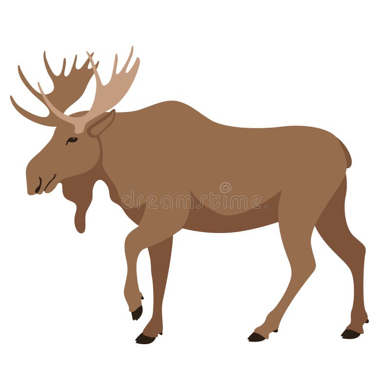 Moose, Vector Illustration , Flat Style, Profile Stock Vector ...