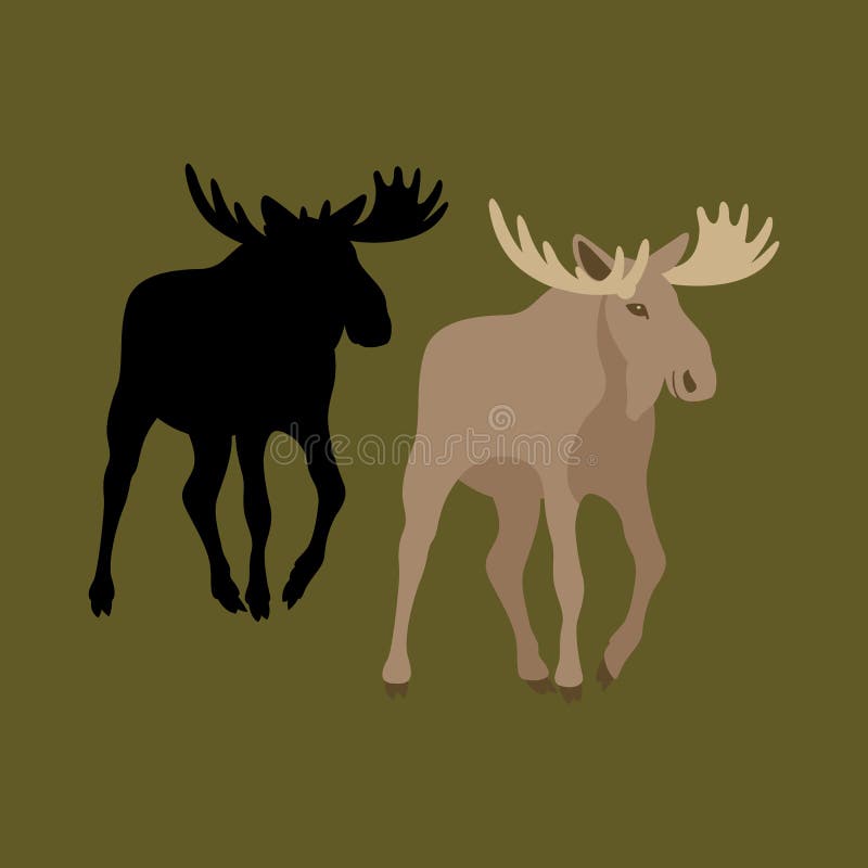Moose Vector Illustration Style Flat Stock Vector - Illustration of ...