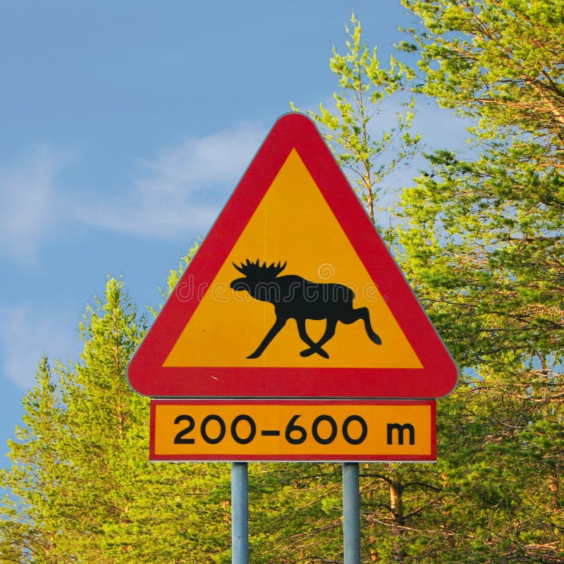 Moose Warning Traffic Sign stock image. Image of signal - 16276833