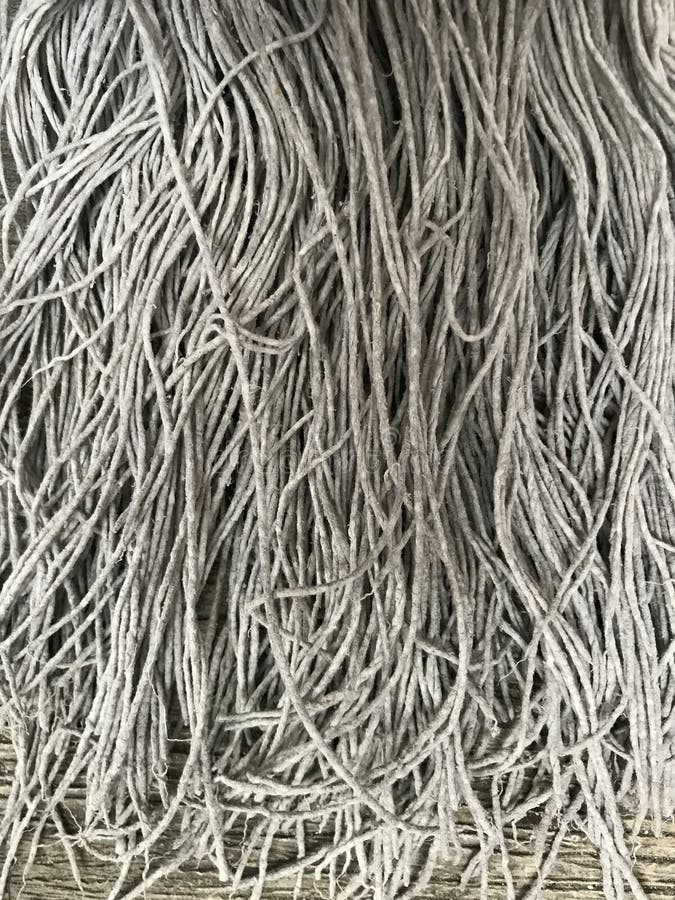 Mop background stock photo. Image of branch, mengepel - 223177594