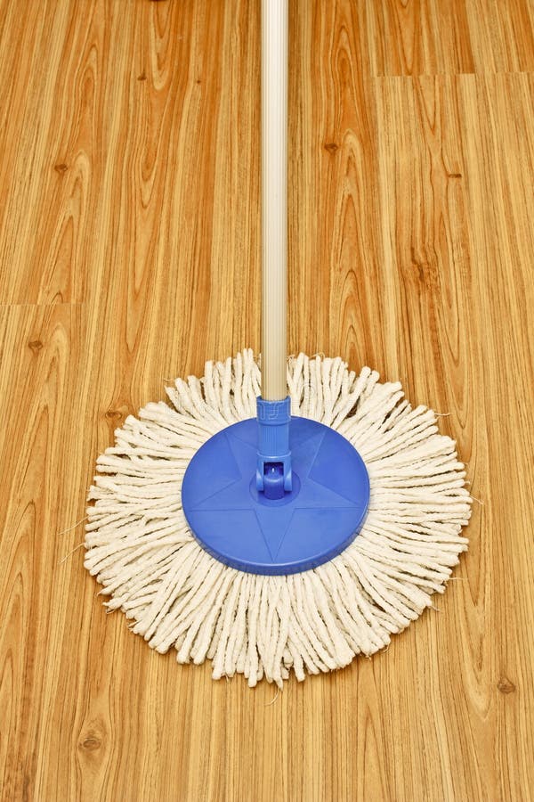 A mop in modern style stock photo. Image of laminate - 20361412