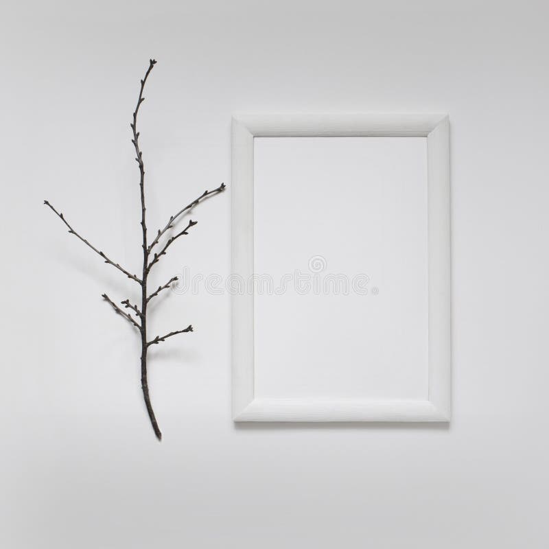 Moquerie Avec La Vue Et La Branche Photo stock - Image du promo, fond ...