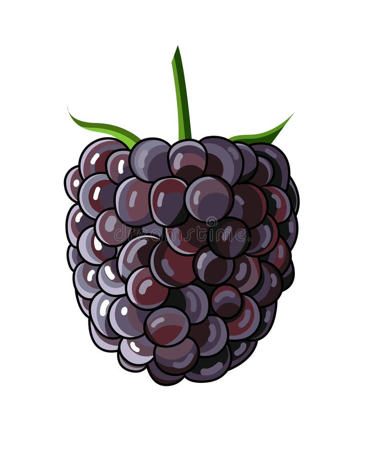 Mora illustrazione vettoriale. Illustrazione di fumetto - 11838375