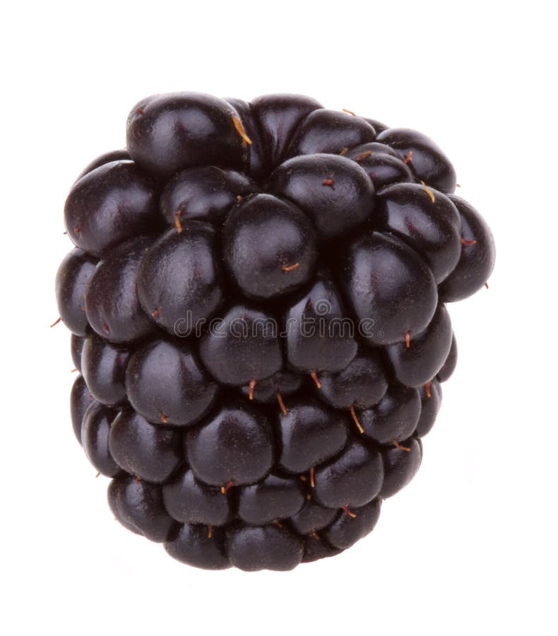 Mora fotografia stock. Immagine di punti, oggetto, dolce - 18416286