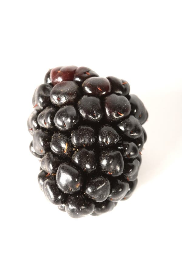 Mora immagine stock. Immagine di dolce, frutta, bacca - 1861309