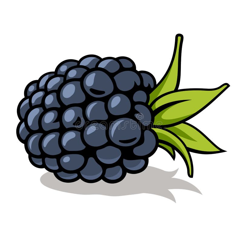 Mora Illustrazioni, Vettoriali E Clipart Stock – (15,149 Illustrazioni ...