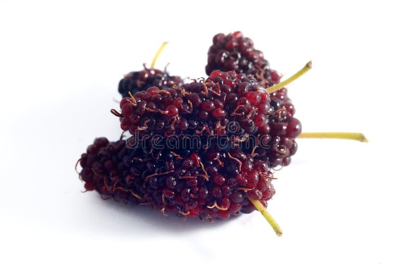 Mora imagen de archivo. Imagen de fondo, blanco, dulce - 29970385