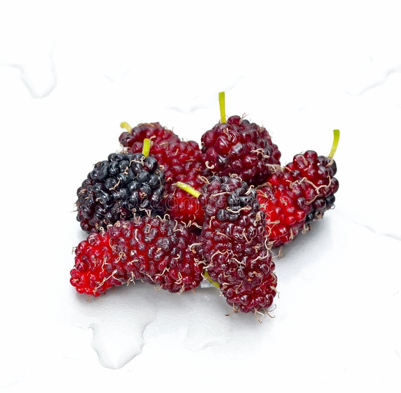 Mora Aislada En El Fondo Blanco Imagen de archivo - Imagen de macro ...