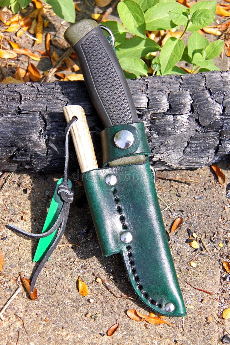 3,180 Mora Morada Stock Photos - Free & Royalty-Free Stock Photos from ...