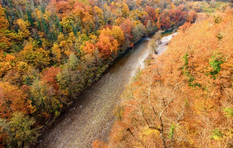 Moraca River in Autumn, Montenegro Stock Image - Image of trees ...