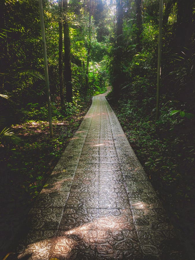 Moramo Waterfall Stock Photos - Free & Royalty-Free Stock Photos from ...