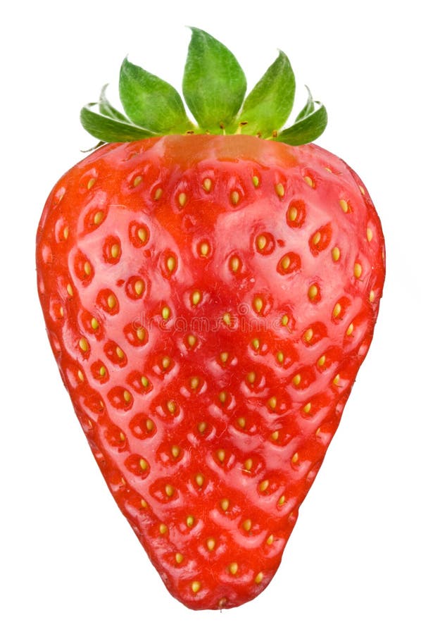 Morango imagem de stock. Imagem de atolamento, vitamina - 7314331