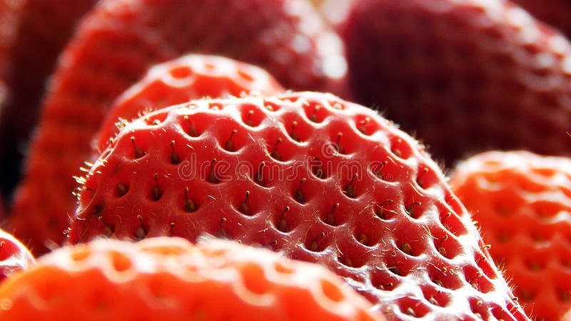 Morango, Alimentos Naturais, Morangos, Fruto Imagem. Imagem: 114297590