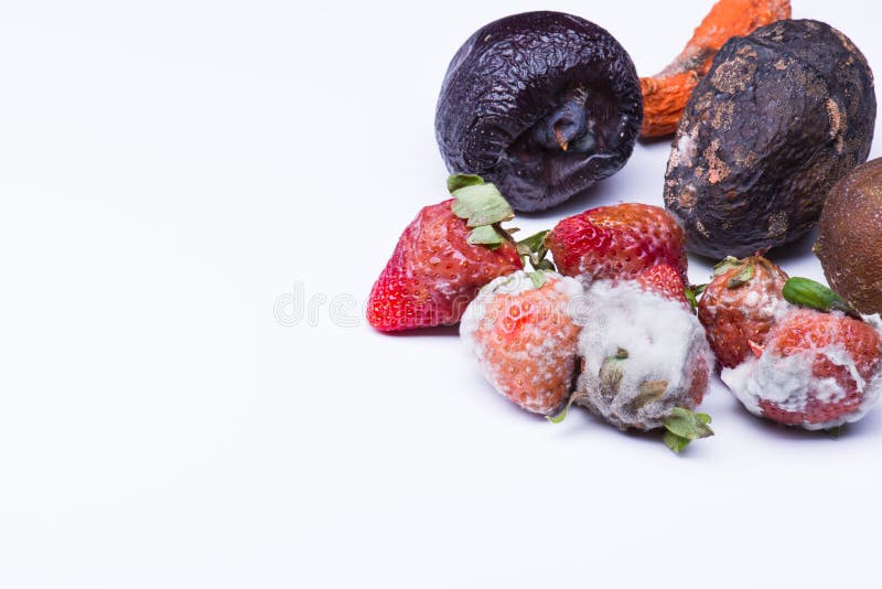 Manga estragada isolada foto de stock. Imagem de doente - 51695030