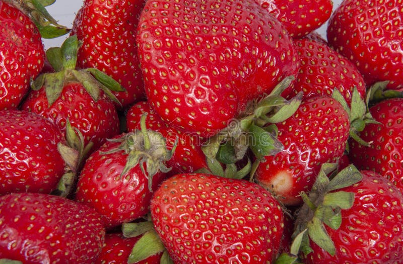 Morango Fresco Vermelho Isolado No Branco Foto de Stock - Imagem de ...