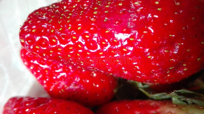 Morango Gigante Em Uma Tabela Foto de Stock - Imagem de dieta, frescor ...