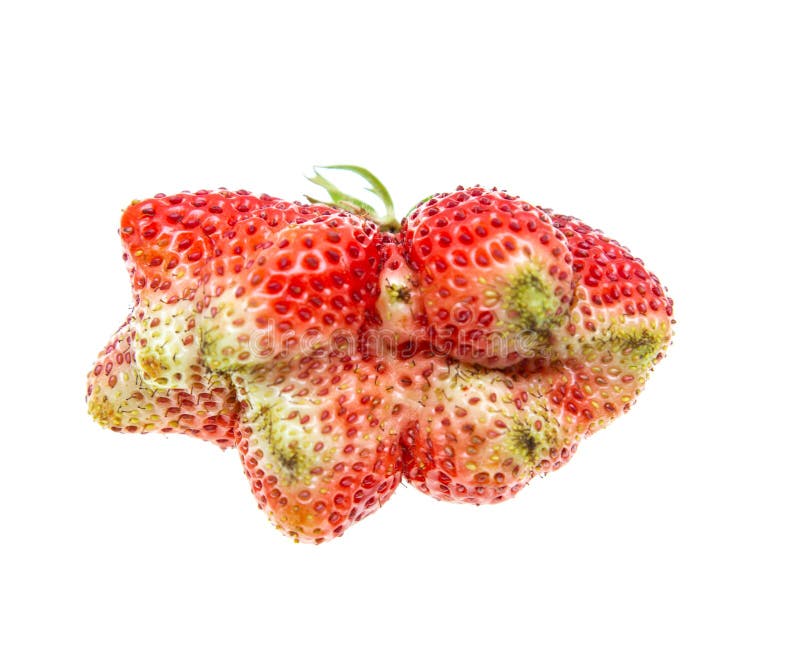 Grande Morango Vermelha No Fundo Morno Amarelo Brilhante Imagem de ...