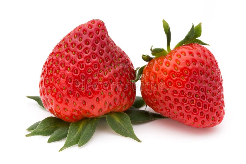 Morango Isolada No Fundo Branco Baga Fresca Imagem de Stock - Imagem de ...