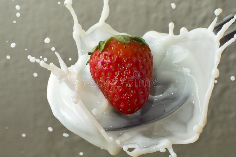 Morango no leite imagem de stock. Imagem de leite, vermelho - 528833