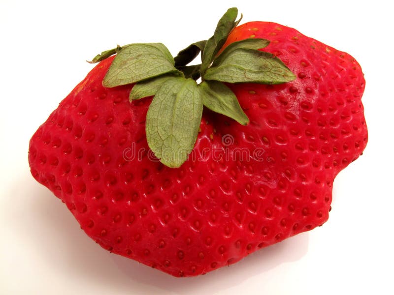 Morango vermelha grande imagem de stock. Imagem de verde - 12555509