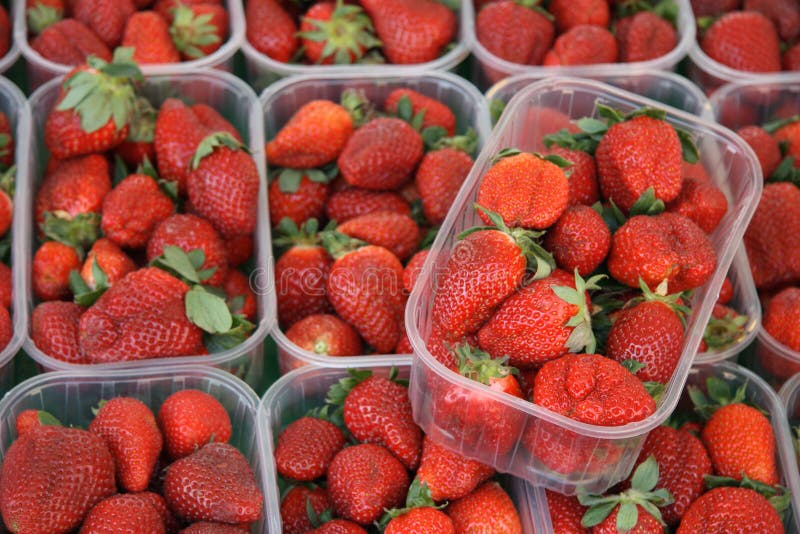 Morangos Em Bandejas Plásticas Imagem de Stock - Imagem de fundo ...