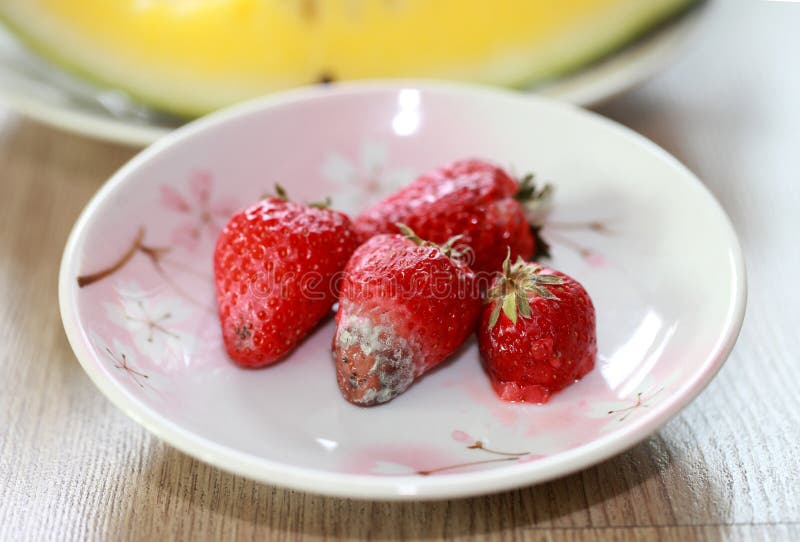 Morangos mofados foto de stock. Imagem de molde, objetos - 31471940