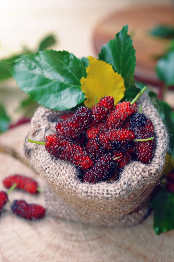 Moras rojas frescas imagen de archivo. Imagen de jugoso - 74629061