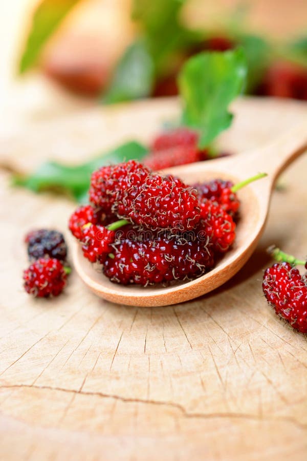 Moras rojas frescas imagen de archivo. Imagen de jugoso - 74629061