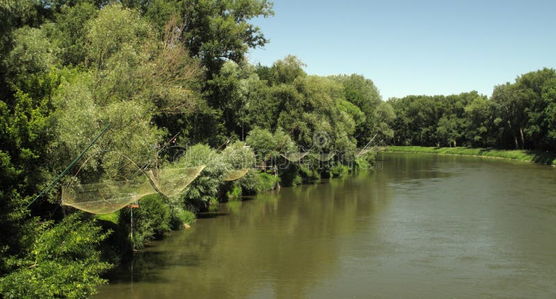 Morava river stock image. Image of moravia, flowing, wood - 11492857