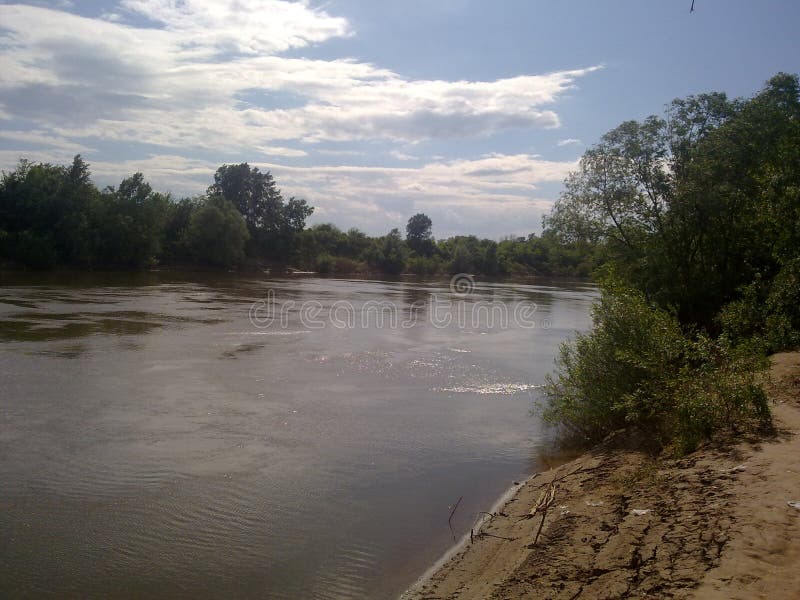 Morava river stock photo. Image of river, morava, daylight - 96469522