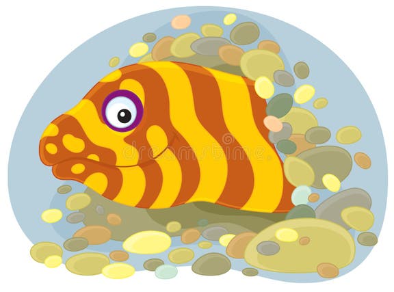 Moray Cartoon Stock Illustrations – 1,206 Moray Cartoon Stock ...